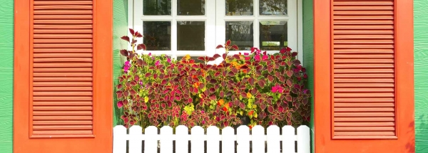 Waterborne coatings for exterior - Sirca